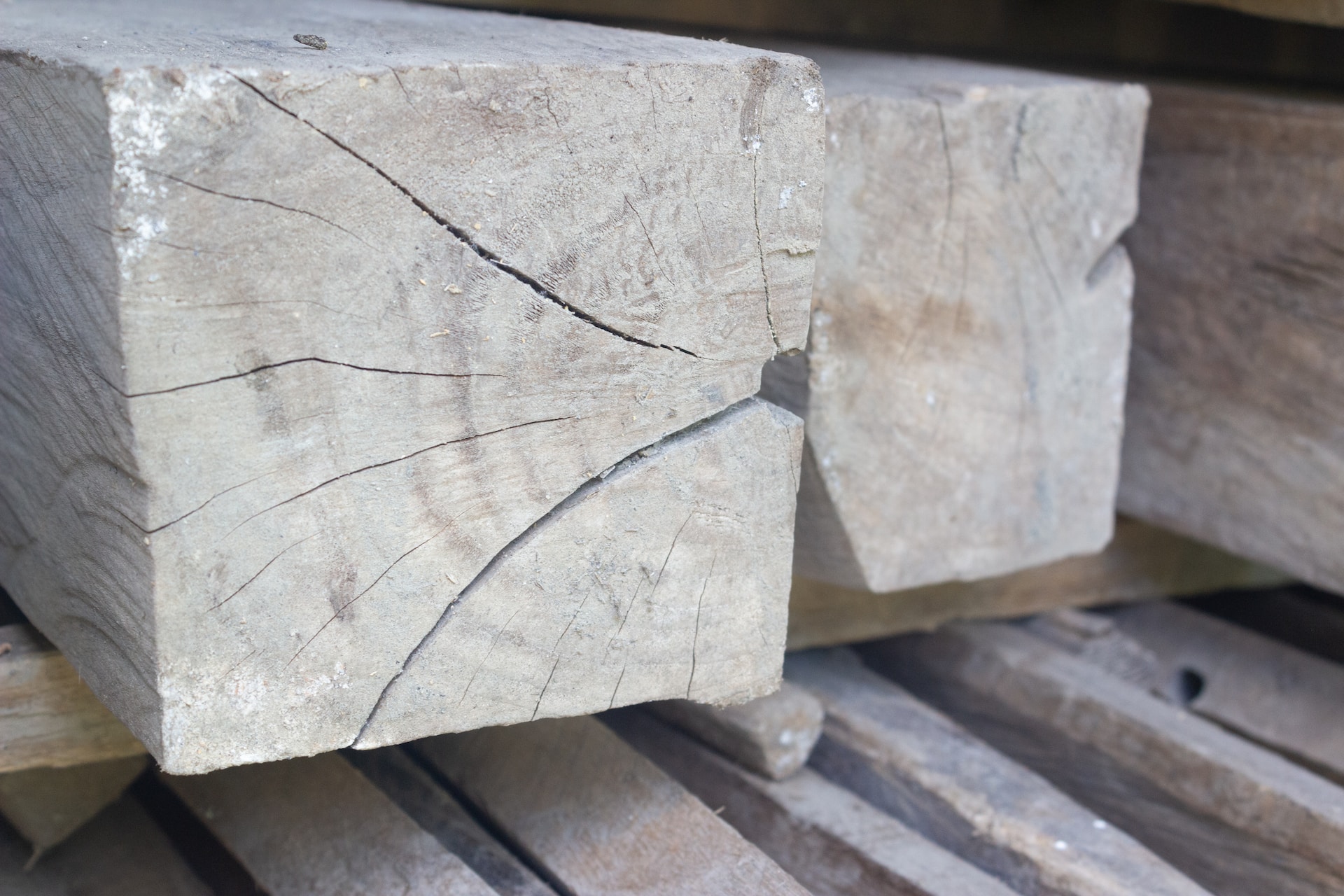 Timber Strength for Malaysian Structures